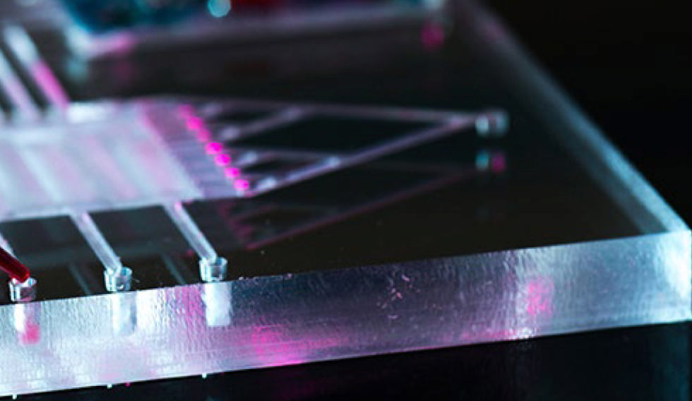 HoliFAB project: a holistic perspective of microfluidics - Grupo ...